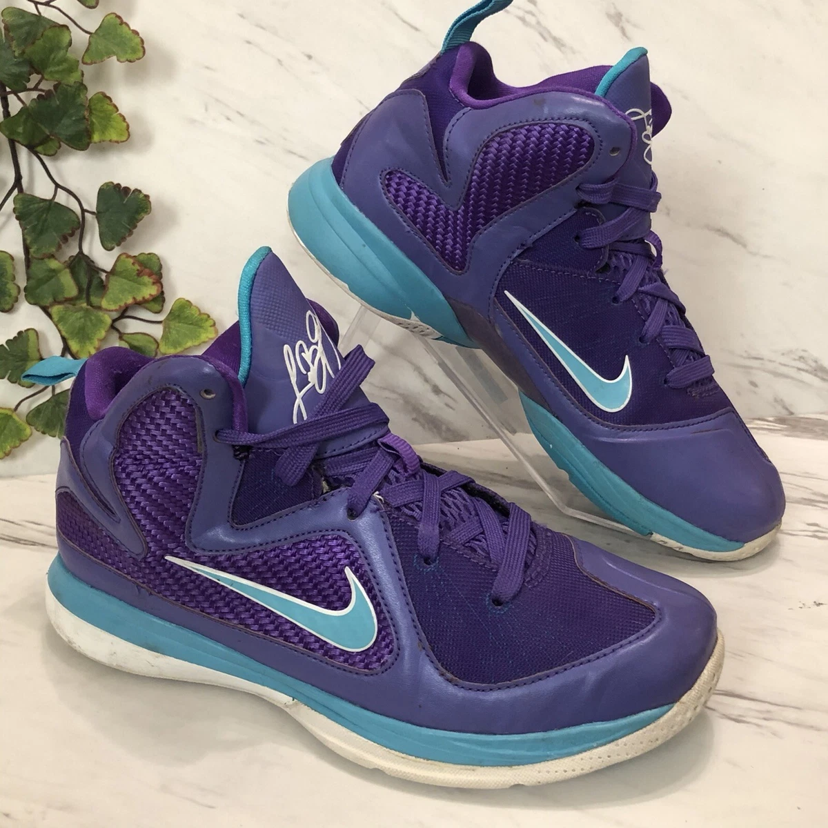 Lebron 9 Hornets