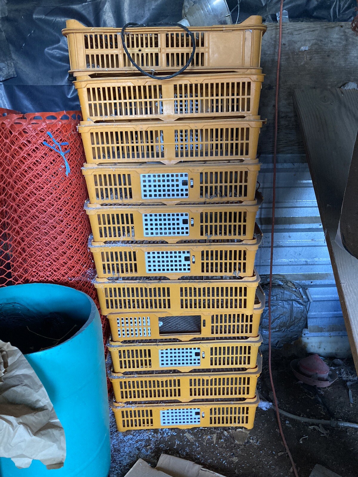 Game Bird Transport Crate Plastic Poultry Cage Quail Pigeon Transport ...