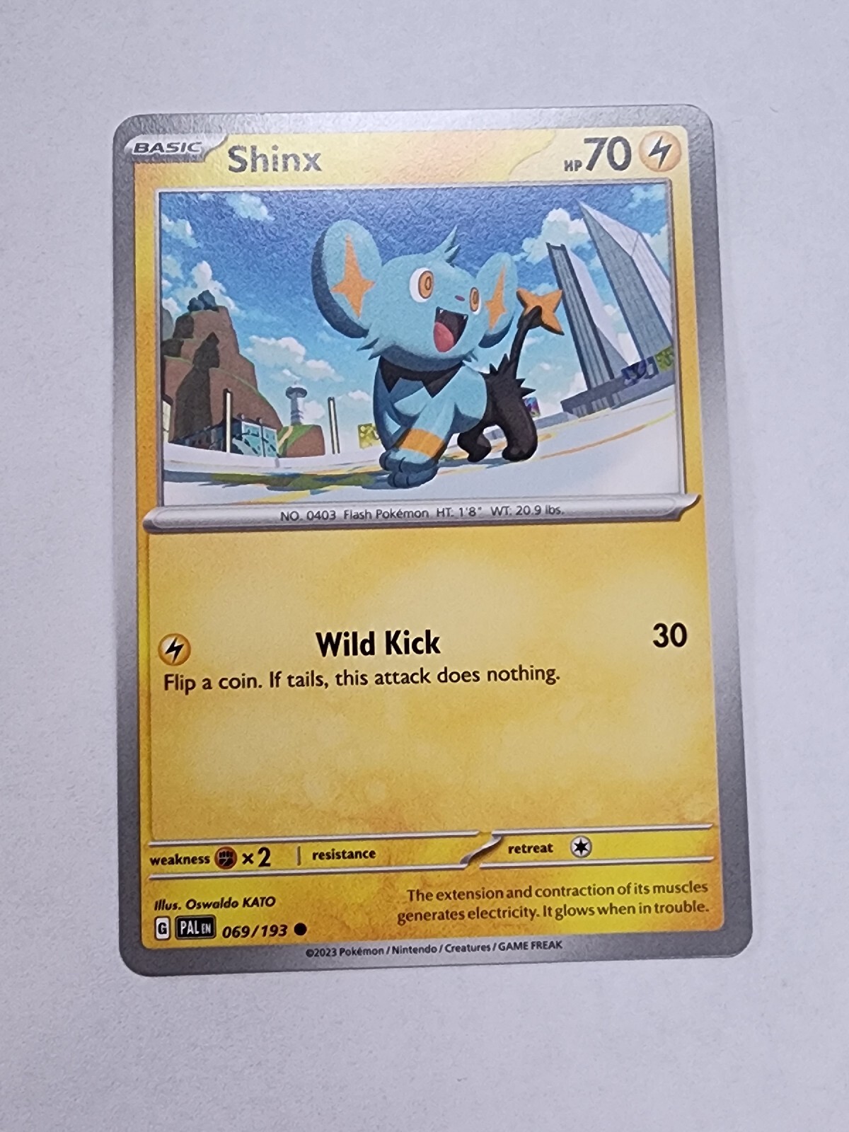 Shinx 069/193 NM / M - Paldea Evolved Scarlet Violet Pokemon Card | eBay