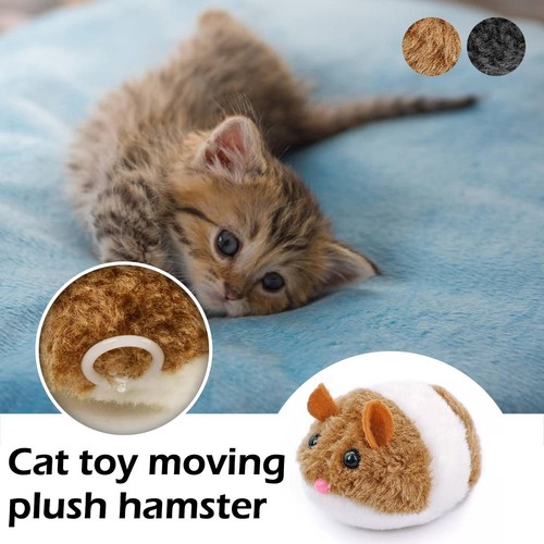 NEW Kitten-Toy Mobile Hamster Playing Moving Runing Hamster Escape ...