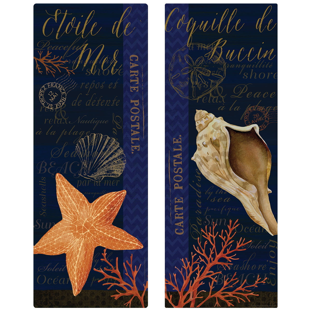 French Seashell Portraits Wall Decal Set Vintage Style Home Decor ...