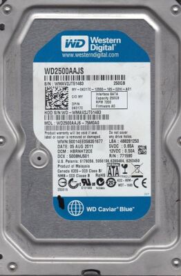 Western Digital 250GB 3.5" Hard Drive WD2500AAJS CAVIAR BLUE 7200RPM ...