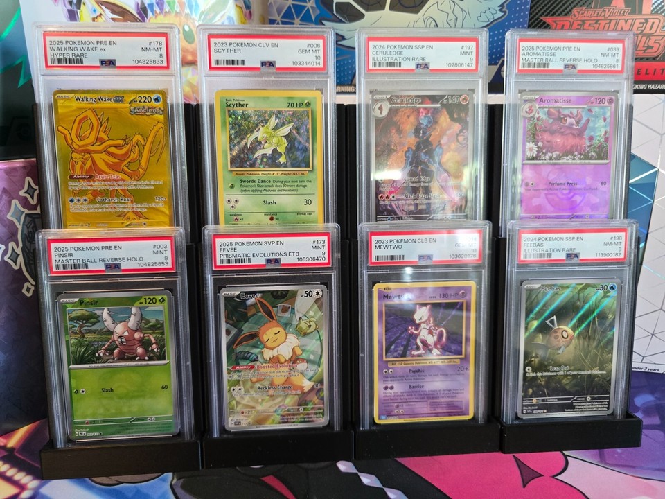 PSA graded Pokemon Slab Box | PSA 10 9 8 | Over 500 cards | Mewtwo ...