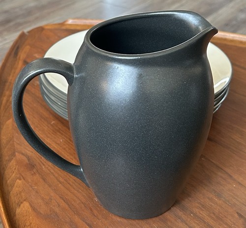 56 Oz Water Jug & 4 Dinner Plates GRAPHITE 5 pc Set COLORWAVE Stoneware ...