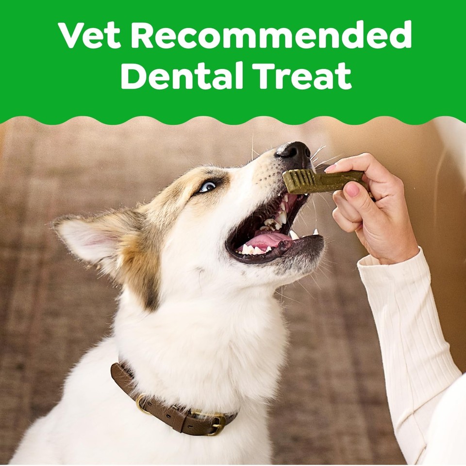 Greenies Veterinarian-Recommended Natural Dental Dog Treats, Large Size ...