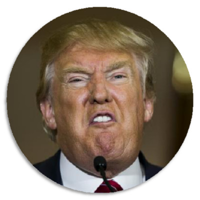 Donald Trump Drumpf Funny Face - 10 Pack Circle Stickers 3 Inch | eBay