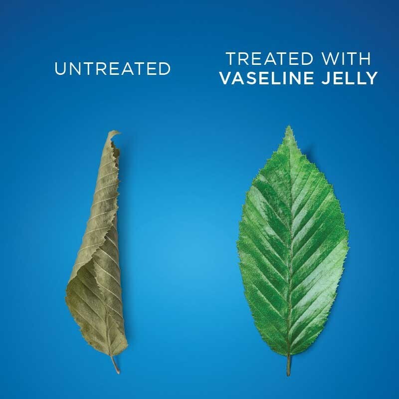 Vaseline Rosy Lips Long Lasting Intensive Moisturization Lip Care 10ml ...