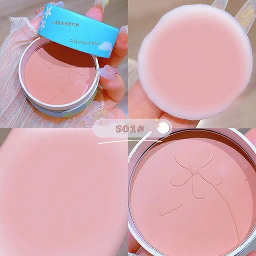 Long Lasting Blush Powder Exquisite Powder Face Makeup Contour ...