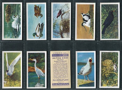 BROOKE BOND 1954 - "FRANCES PITT BRITISH BIRDS (Cream & White)" - PICK ...