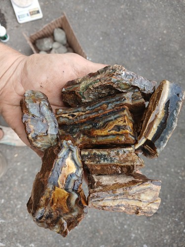 Tahoma Agate Jasper Lapidary Rough Washington State 2 Lbs | eBay