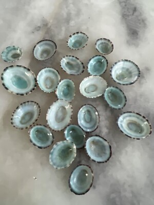 ~ Blue-Green Limpet Shells (20) ~ Seashells ~ Shellcraft ~ Sailor's ...