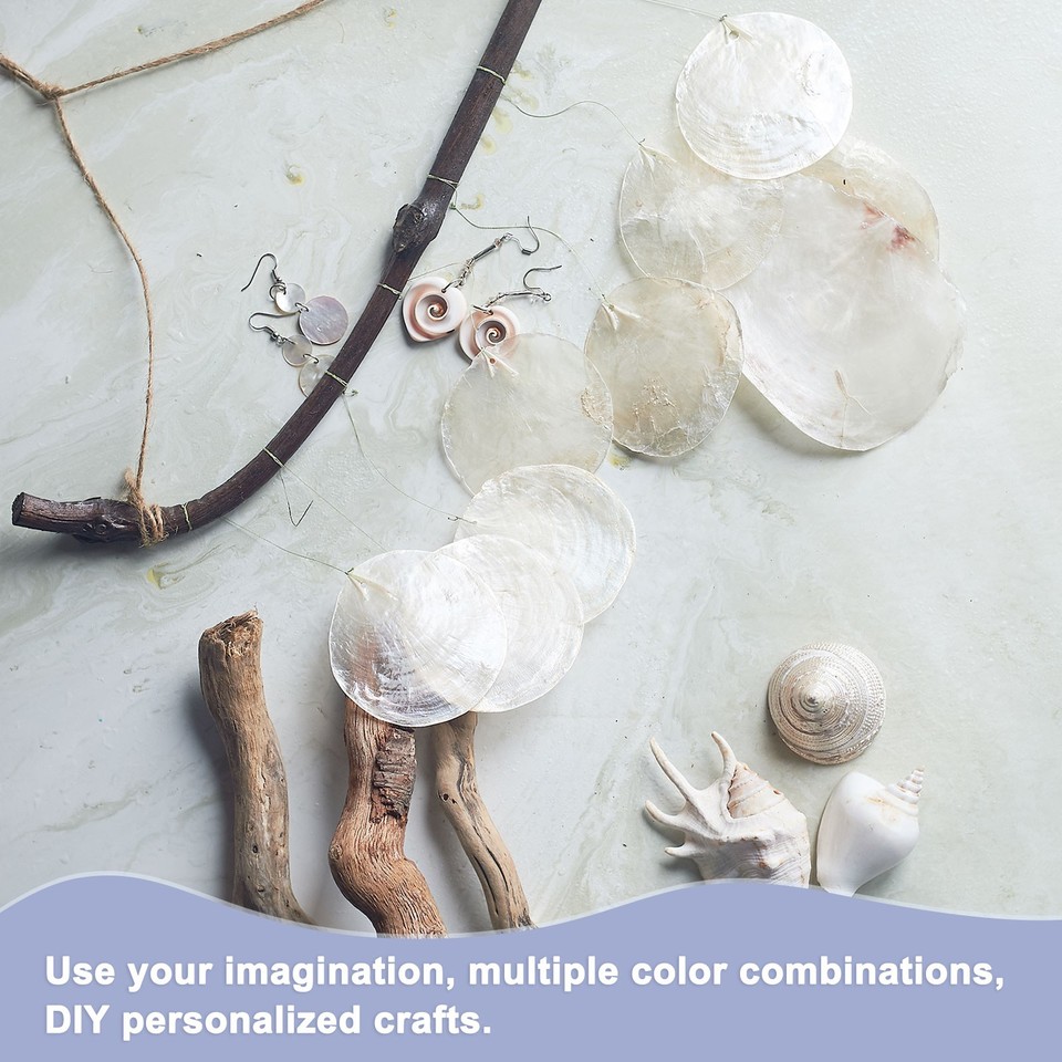 20-Pack Round Capiz Sea Shells, 2" Shells Double Holes [Black] | eBay