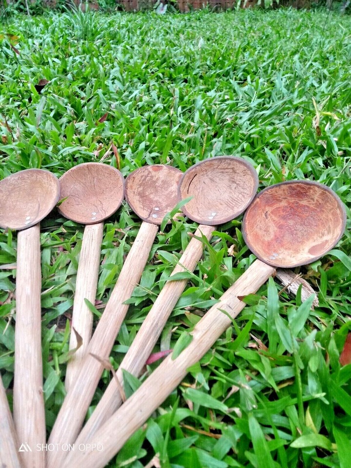 Ceylon Handmade Coconut Shell Spoons Kitchen tools Eco Friendly prodact ...