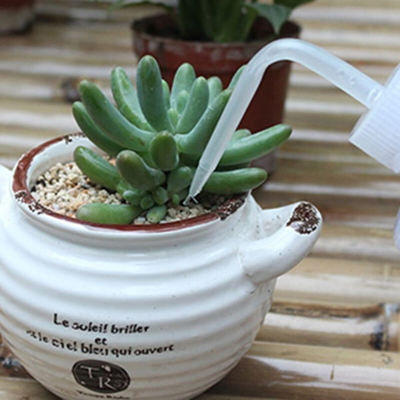 250mL Water Beak Pouring Kettle Tool Succulents Plant Flower Squeeze ...