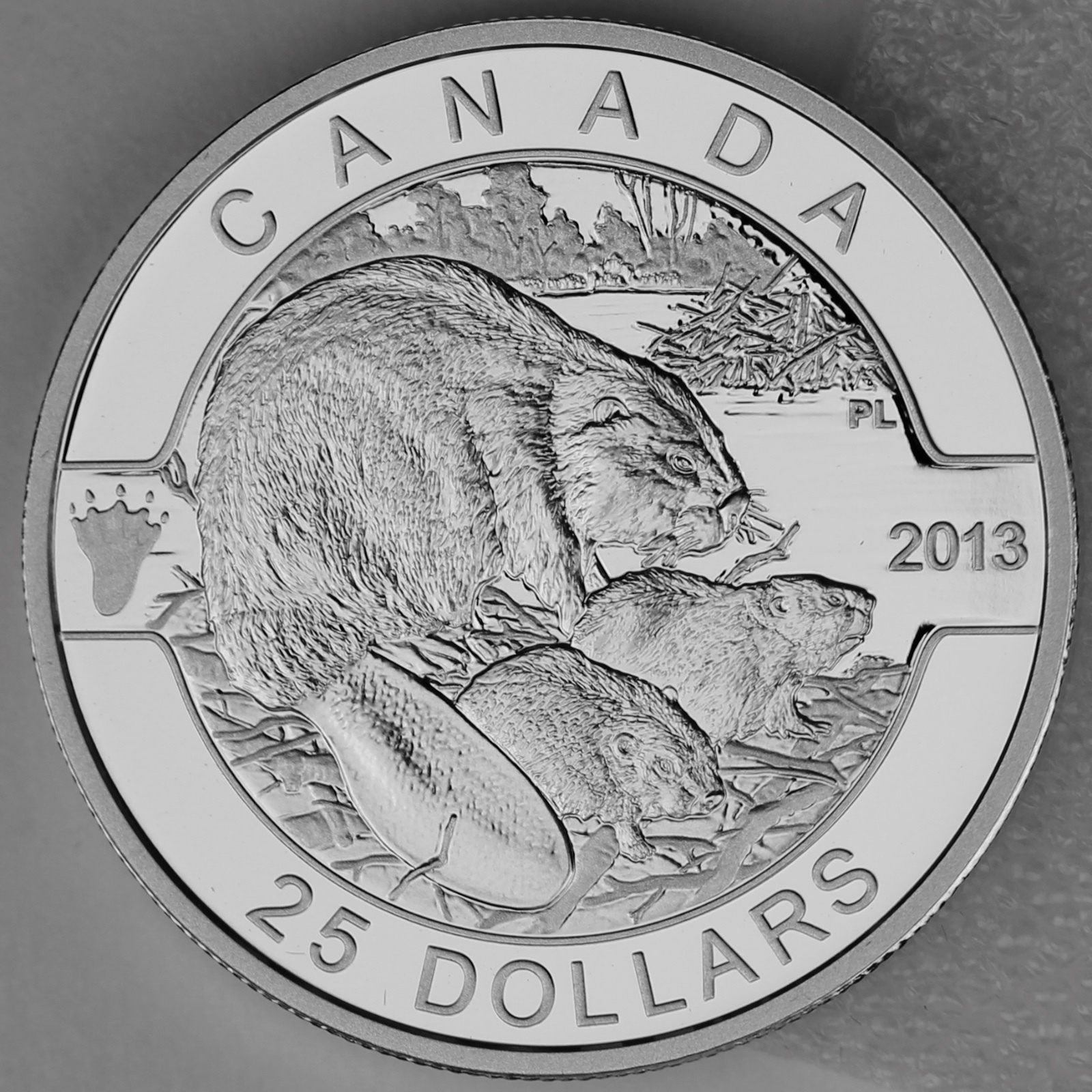 Canada 2013 $25 Beaver 1 Troy Oz. 99.99% Pure Silver Proof, O Canada ...