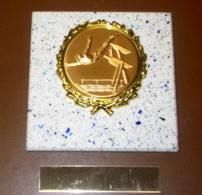 DIVING DIVE -Male- New Plaque Tile AWARD-GIFT w/Gold Wreath + Insert ...