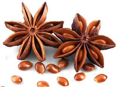Whole Star Anise & Aniseed - Premium Quality Dried Spices & Herbs ...