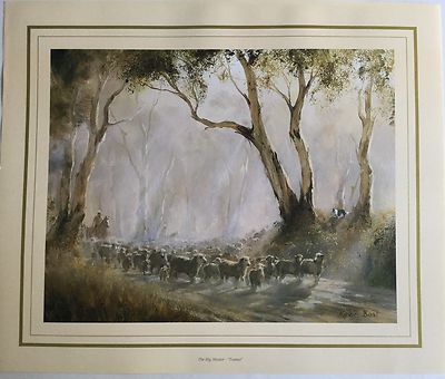New Kevin Best Artist Painting Print - The Big Muster - "Tuena" | eBay