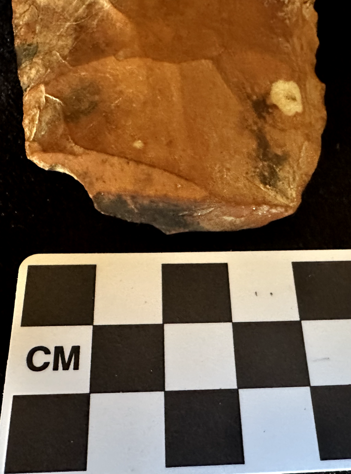 Authentic Pre-Columbian Adze Tool Prehistoric Artifact | eBay