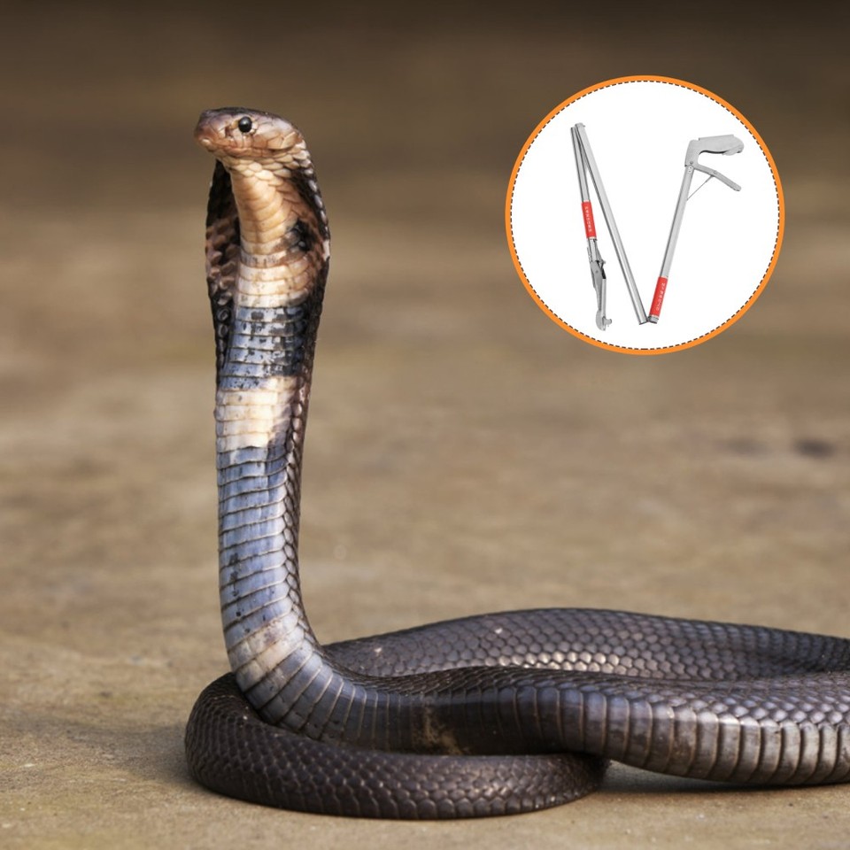 Folding Tong Snake Clamp Outdoor Sea Crab Clamp Stainless Steel Snake ...