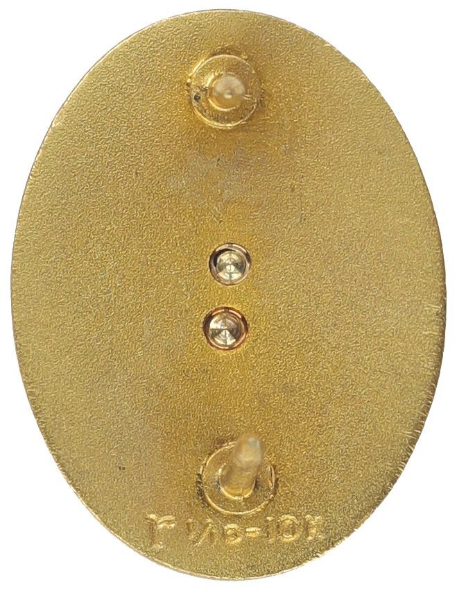 Distinguished Boy Eagle Scout DESA Lapel Pin 10K Gold Badge BSA Merit ...