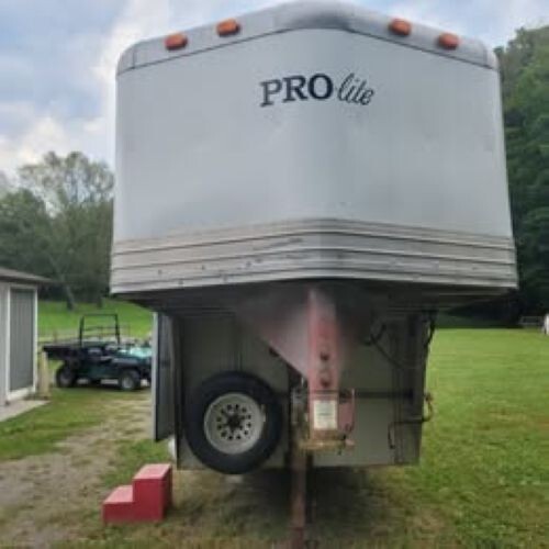 1993 ProLite 2 Horse Trailer hunter model | eBay