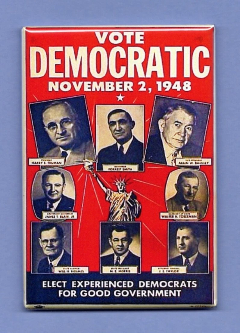 Democratic Government Poster