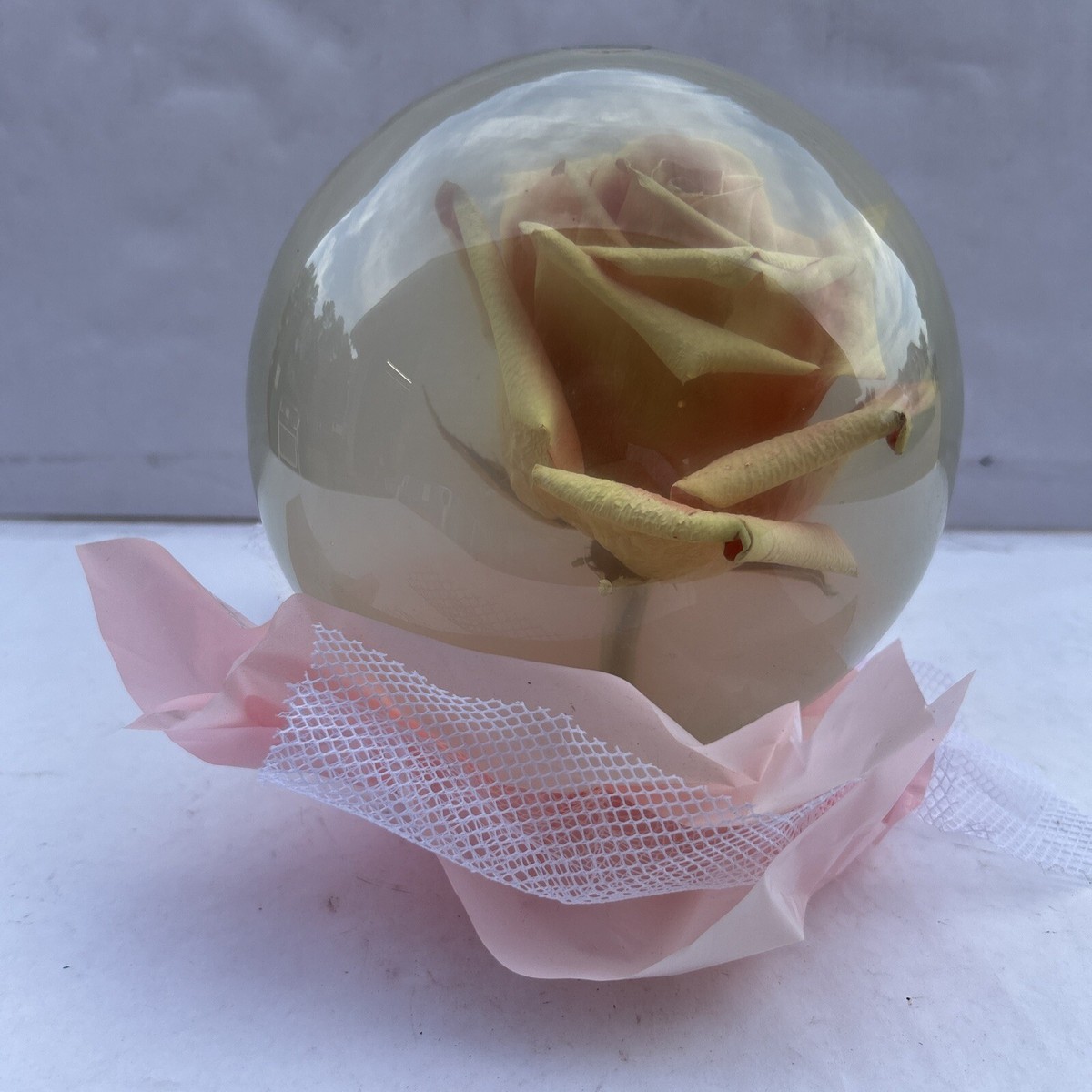 Inside With Rose Water Globe Where To Buy Rose Globes For Valentine's