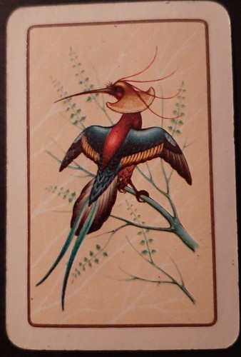 Joker Bird Playing Card | eBay Australia