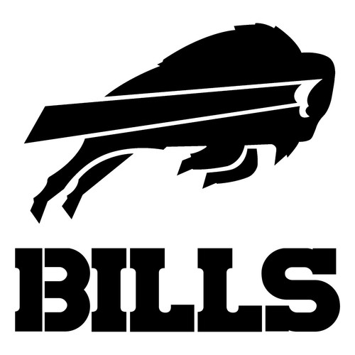 NFL Team Stencils - all 32 team stencils reusable patterns | eBay