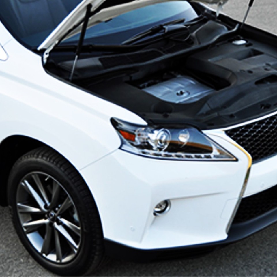 2pc For Lexus 2010 - 2015 Rx350 Car Bonnet Hood Lift Supports Shock ...