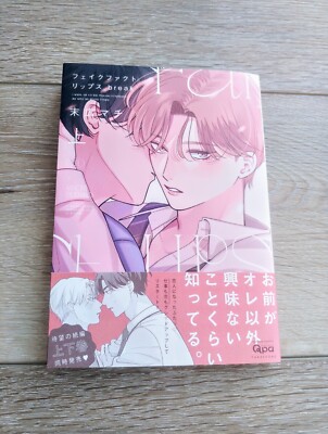 Fake Fact Lips Break Vol.1 BY Machi Suehiro Official Japanese BL YAOI ...