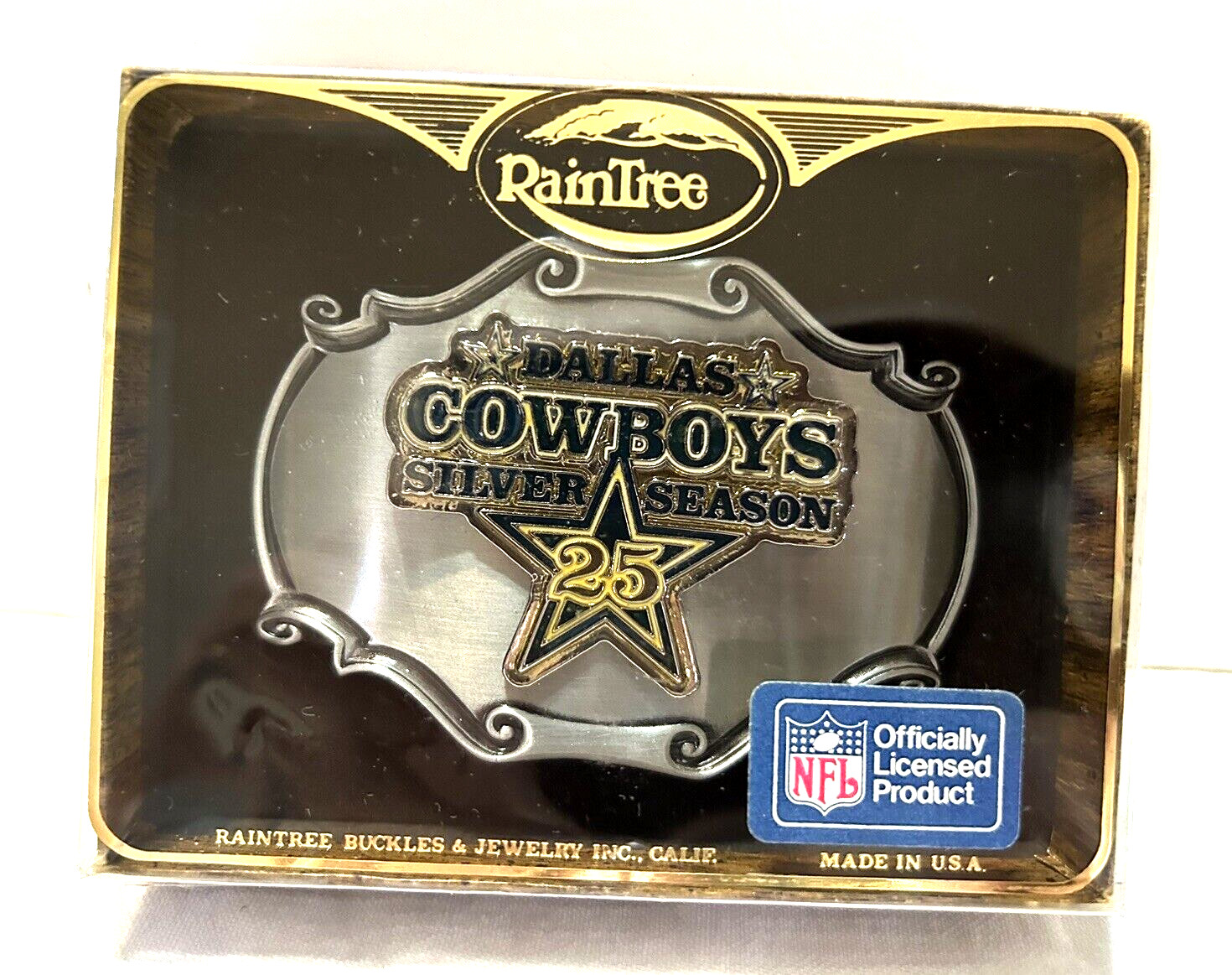 1978 Dallas Cowboys 25th Silver Season Enameled "Rain… - Gem