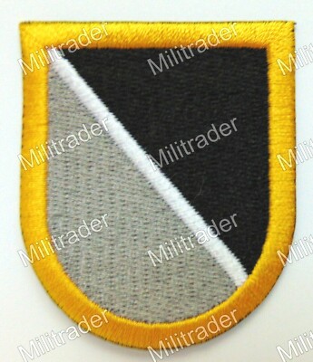 US Army SWCS's 1st Special Warfare Training Group Beret Flash Patch | eBay