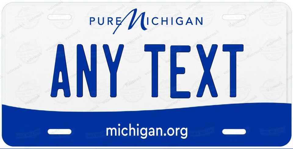 Personalized Custom License Plate Tag for Any State Wall Auto Car ...