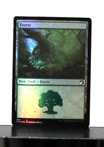 2021 MTG Magic Forest 384 Innistrad: Midnight Hunt | eBay