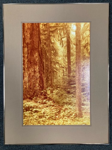 William Plante AMONG KINGS Signed Framed Matted Photo 5053-B 1978 ...