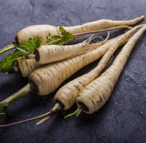 Parsnip (student variety) - 200 Seeds - Tasmanian Organically Grown ...