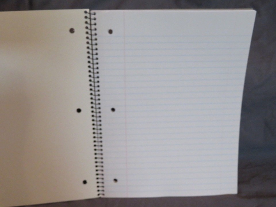 New Vintage 1998 Looney Tunes 10.5” Tweety Bird Notebook 60 Sheets Wide ...