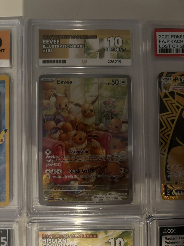 Pokemon Graded Card Slab (PSA, ACE…) Mystery graded slab | eBay UK