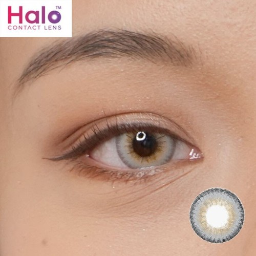 Halo Grey + FREE CASE - Halo Colour Contacts - TGA APPROVED cosmetic ...