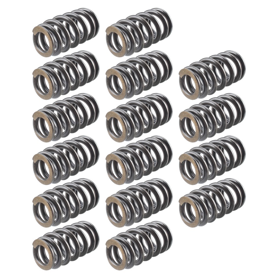 LS VALVE SPRINGS Fits GM LS1 LS2 LS3 LS6 4.8 5.3 6.0 6.2L - .600" LIFT ...