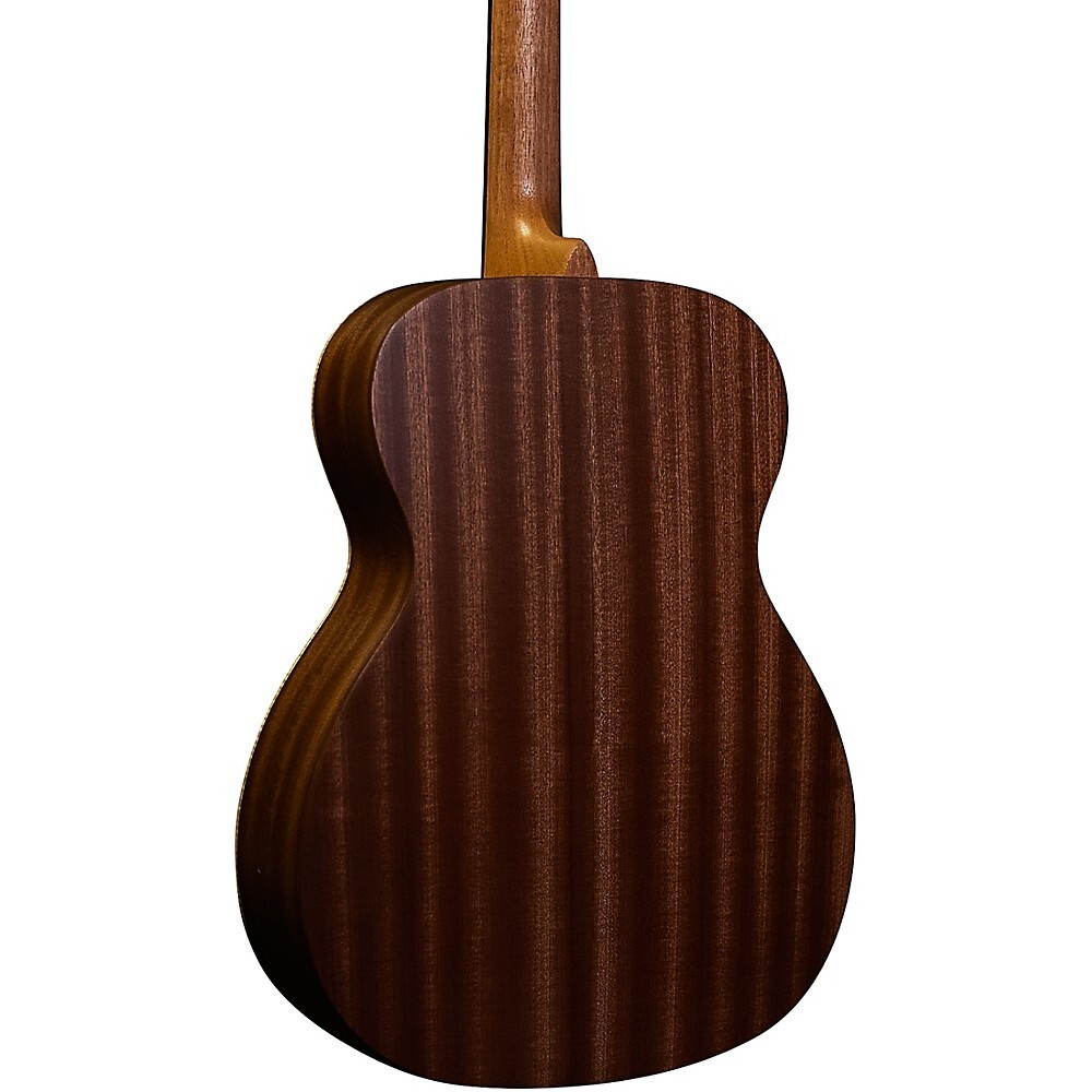 Martin OM Biosphere Acoustic Guitar Ocean | eBay