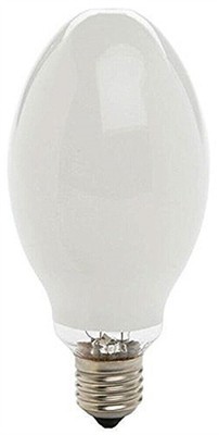 Lights & Lighting - Mogul Base