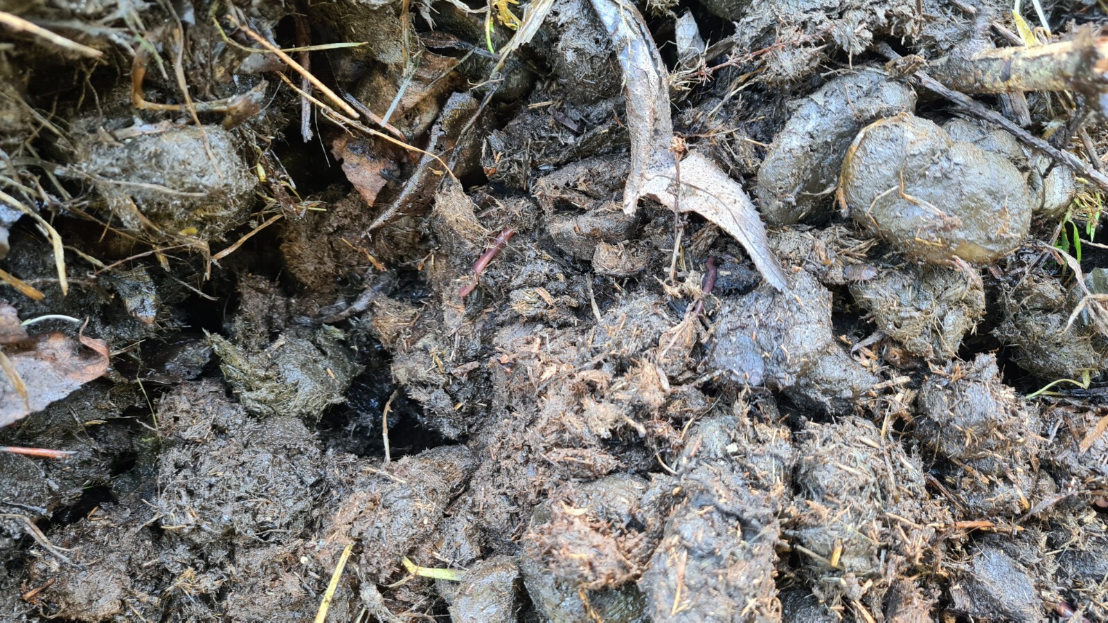 WELL ROTTED PONY MANURE ~ GREAT MULCH ~ SOIL IMPROVER MANY USES ...