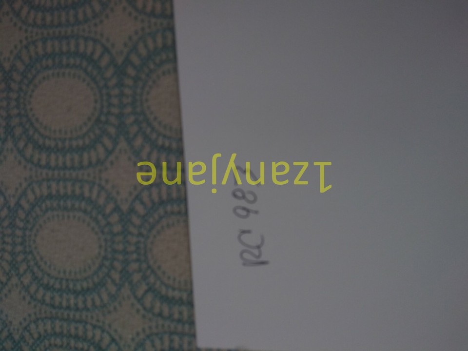 RC983 Band 8x10 Press Photo PROMO MEDIA , BARBARA CECIL | eBay