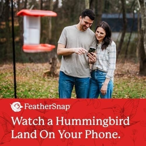 FeatherSnap Smart Hummingbird Feeder with HD Camera – WiFi Solar Bird ...