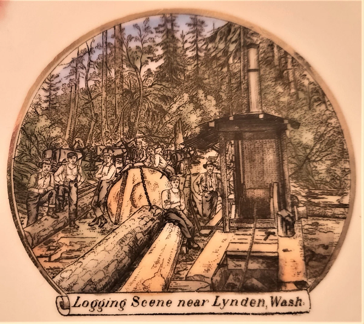 1800 S Logging Photos