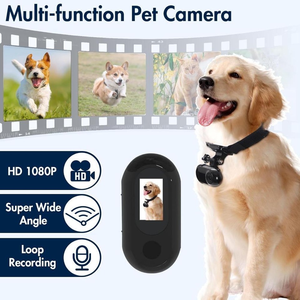 1080P A pet collar camera for Pets Supplies Indoor Outdoor with Video ...