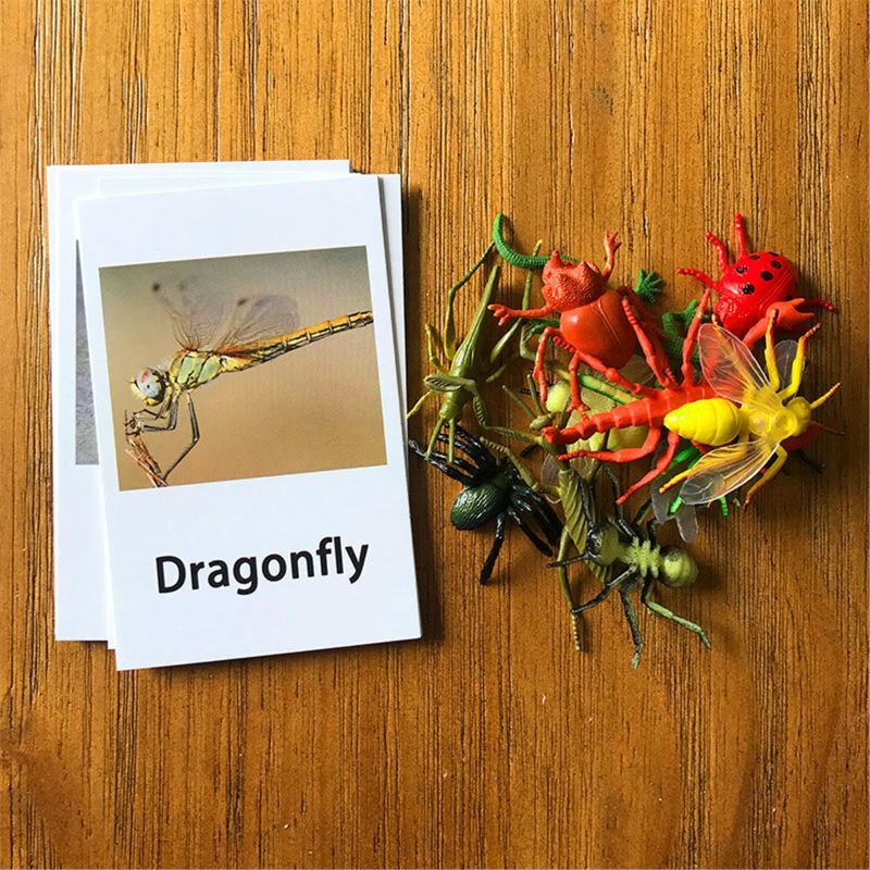 for Creative Toy Cards Realistic Paper Made Trick Supplies | eBay